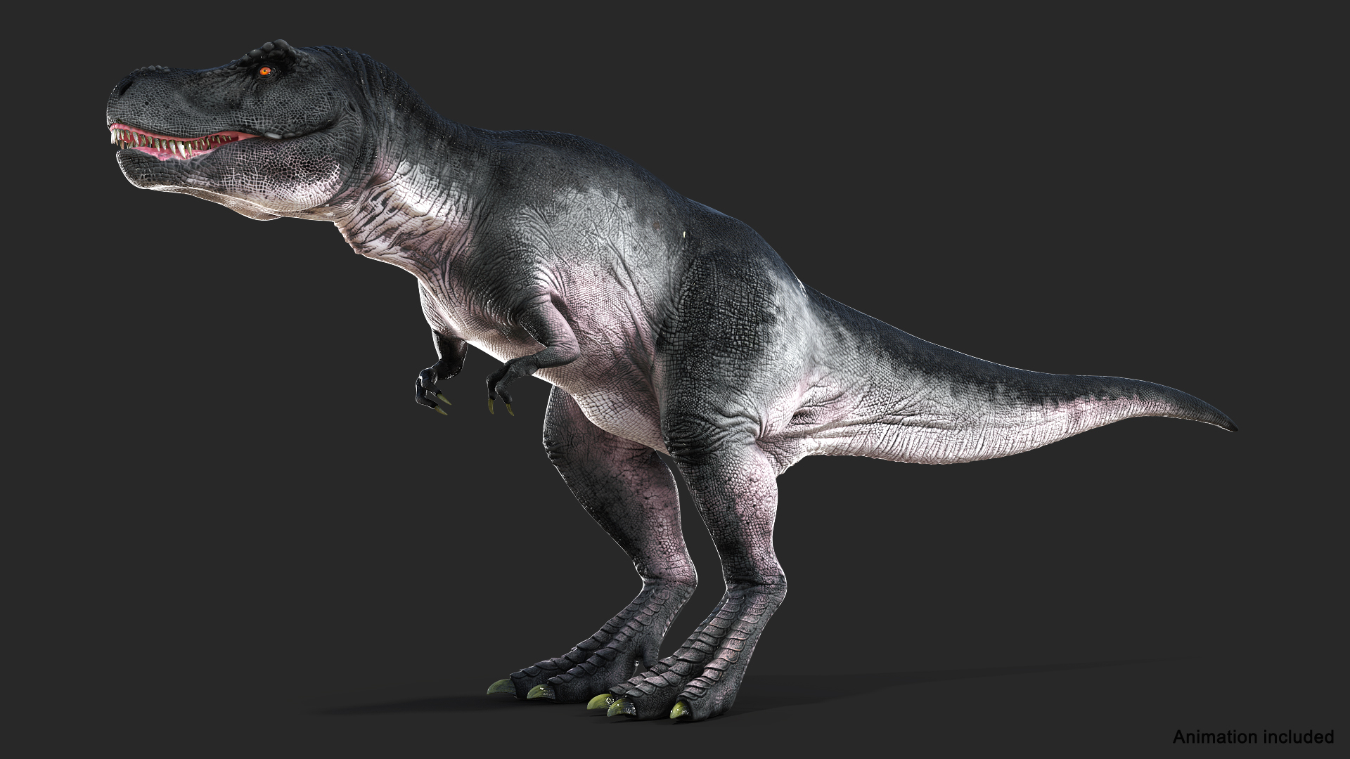 T Rex Idle Animated Rigged 3D Model - TurboSquid 2102899