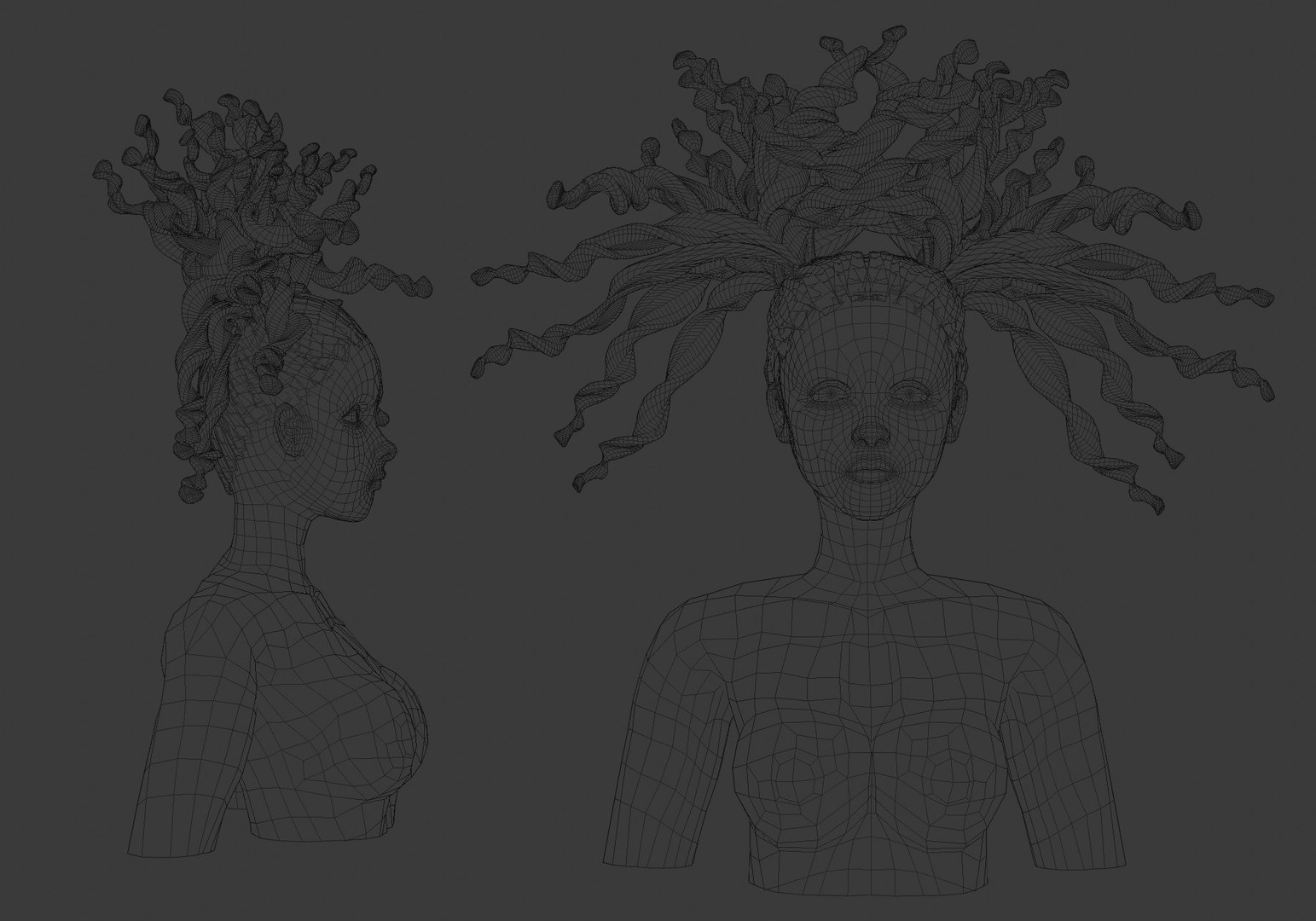 3D Female Wild Hairstyle - TurboSquid 1964754