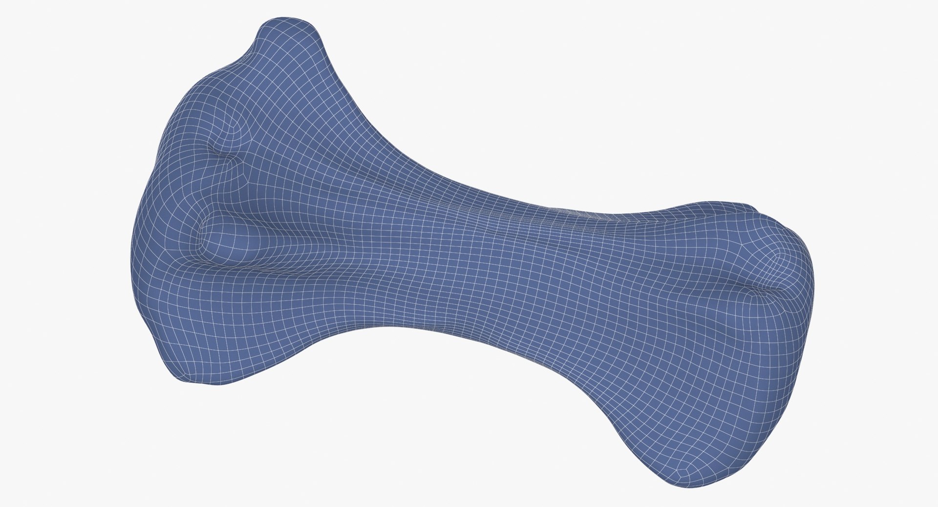 Kangaroo Red Necked Wallaby Caudal Vertebrae Cd6 3D Model - TurboSquid ...