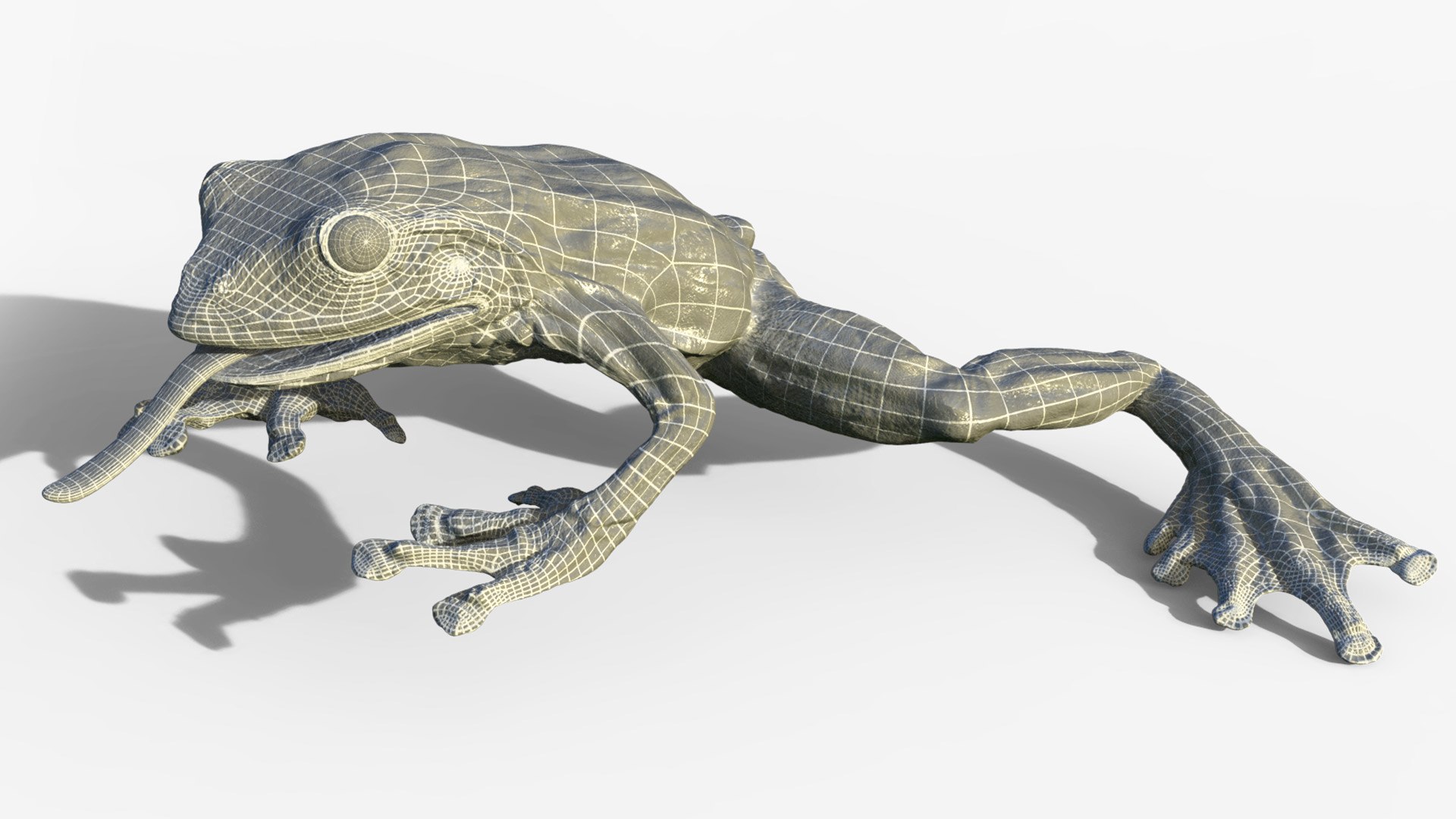 3D Frog Brown-orange Color Model - TurboSquid 1854384