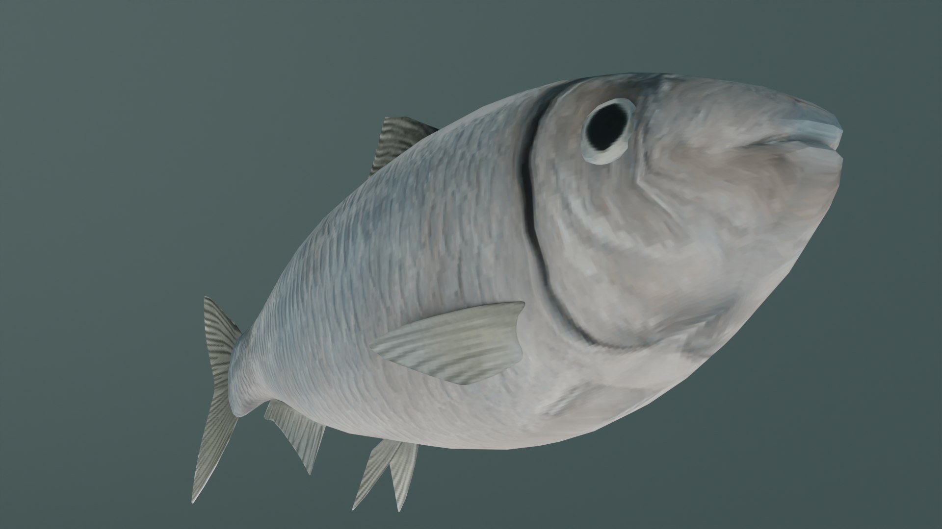 Tulka 3D model - TurboSquid 2173668
