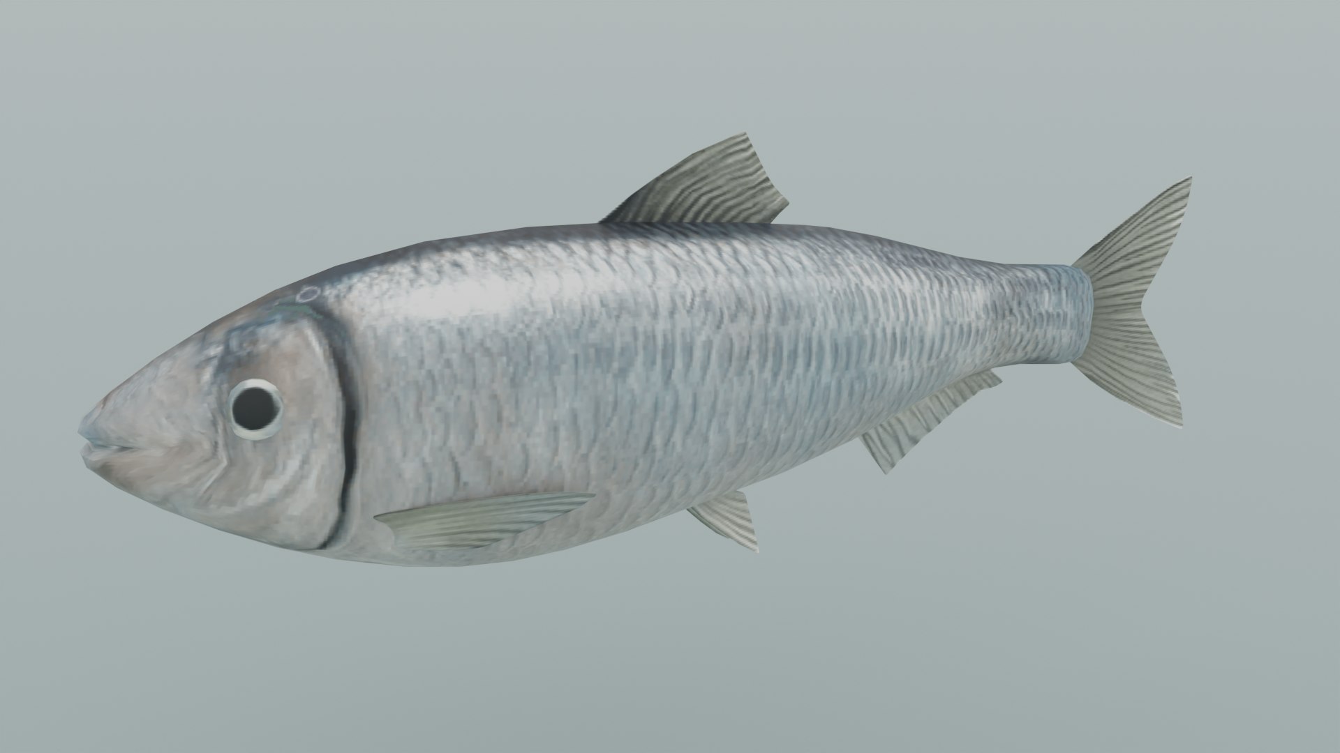 Tulka 3D model - TurboSquid 2173668