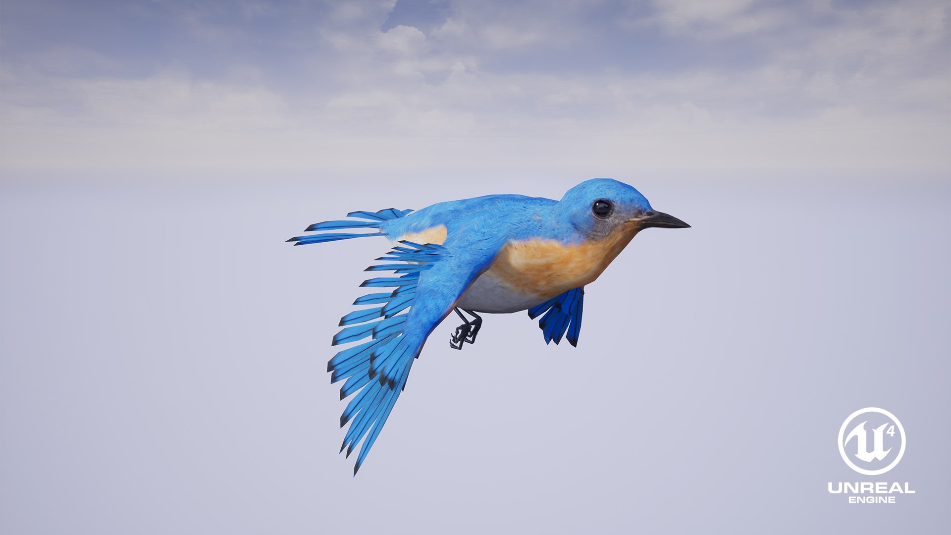 3D bluebird animations model - TurboSquid 1576033