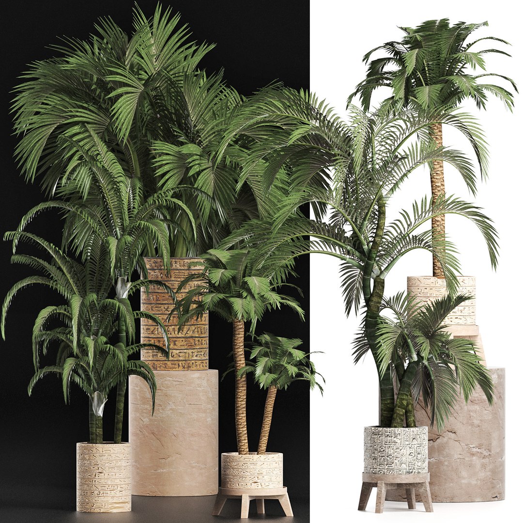 Palm Tree Plant Pot 3D - TurboSquid 1687062