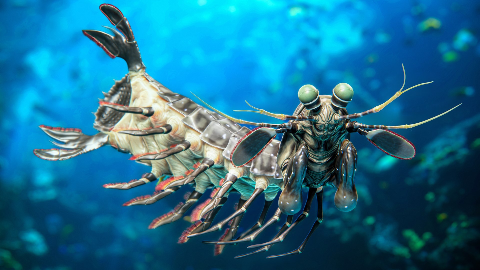 3D Mantis Shrimp - Rex Rainbow Peacock - Underwater Monster ...