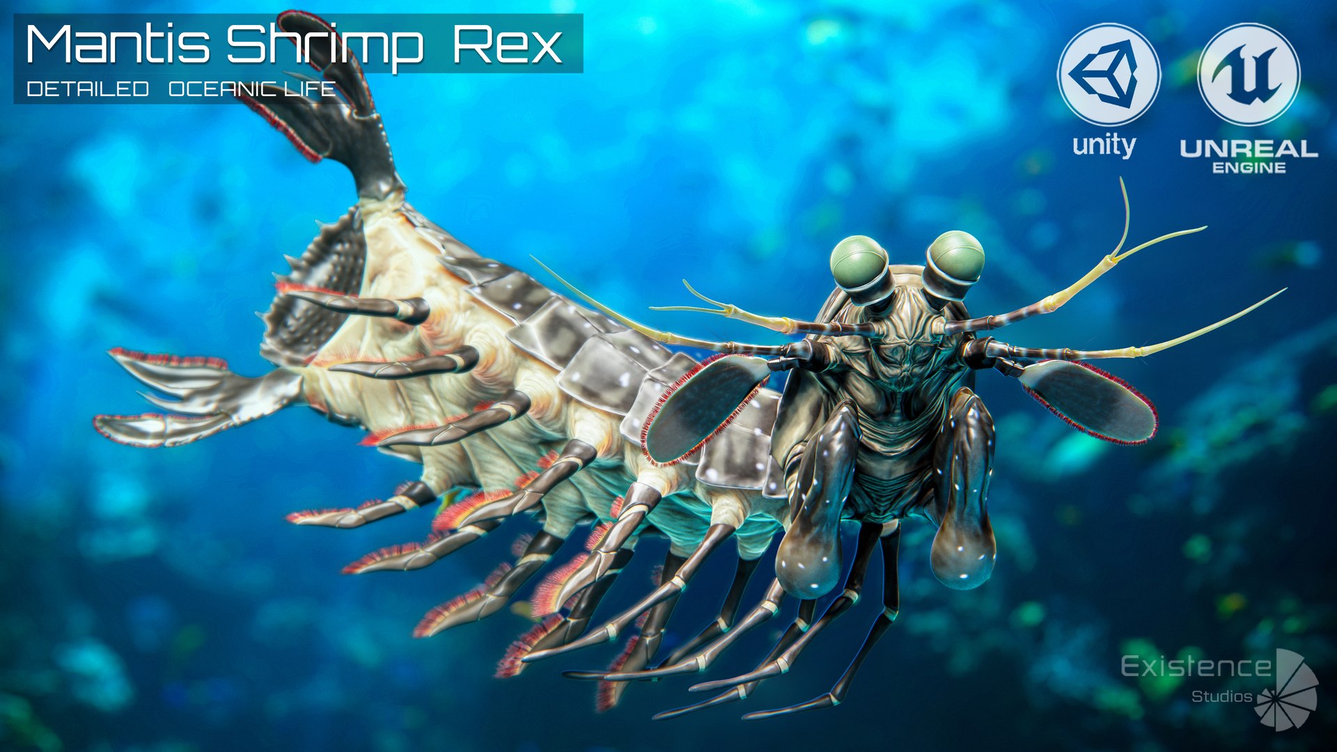 3D Mantis Shrimp - Rex Rainbow Peacock - Underwater Monster ...