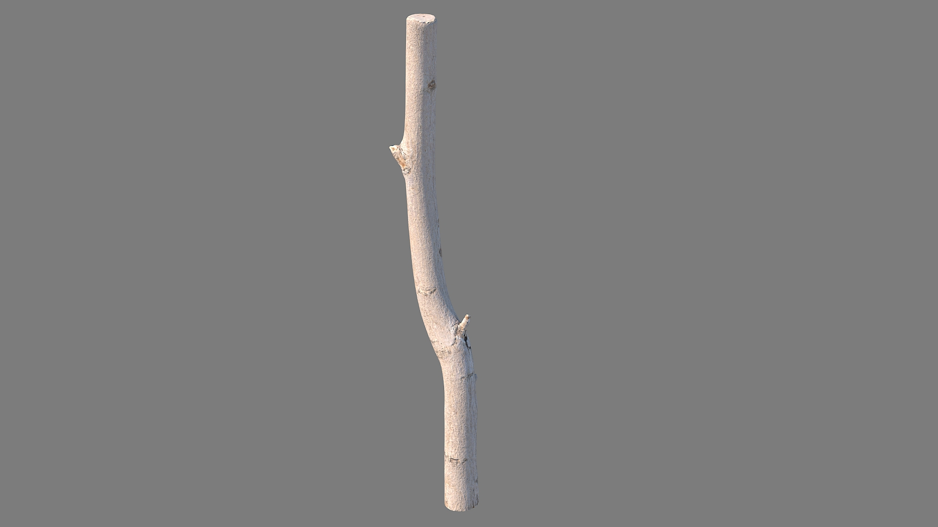 3D Twig Scanned 16 - TurboSquid 2088585