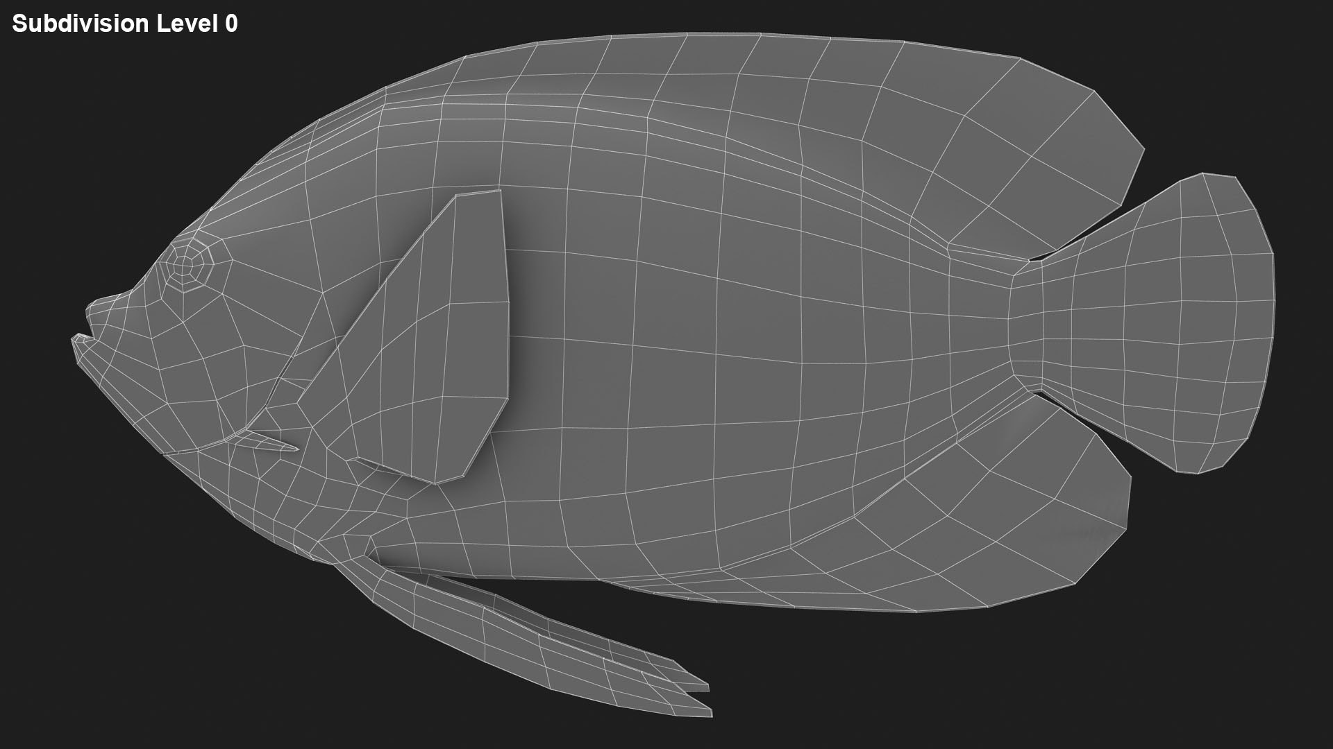 3D Model Blueface Angelfish Rigged - TurboSquid 1514173