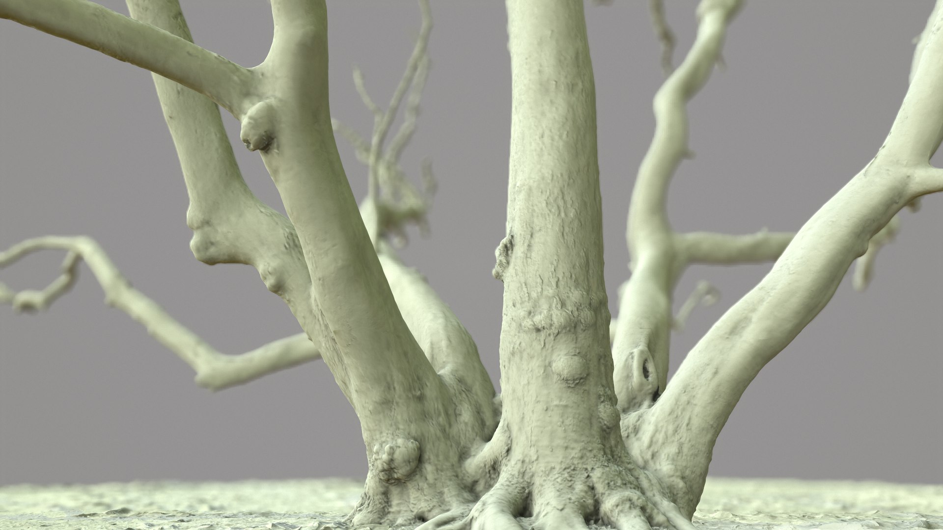scanned tree photorealistic 3d model