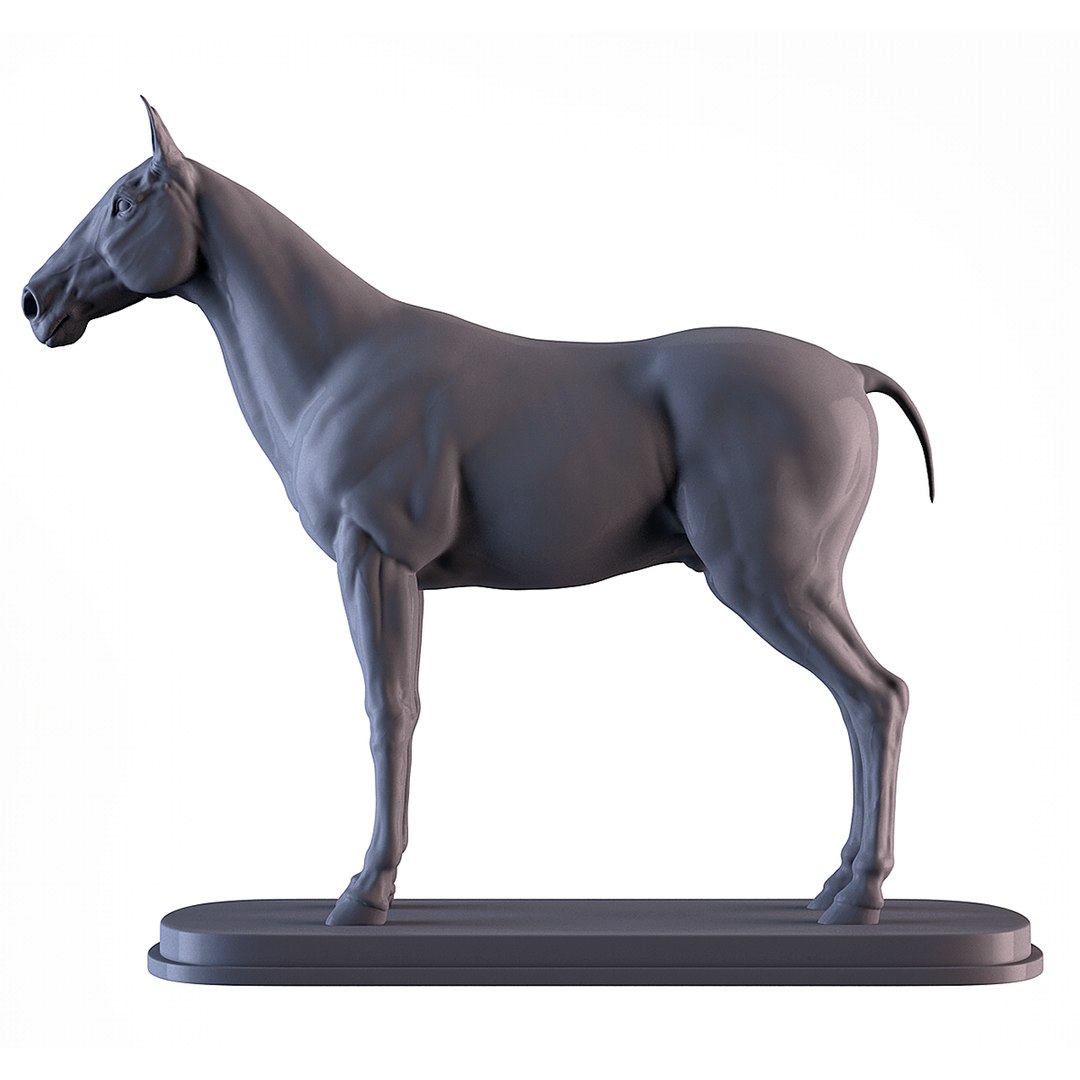 3D Horse Model - TurboSquid 1838954