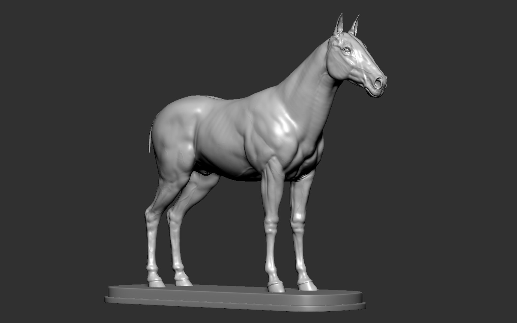 3D Horse Model - TurboSquid 1838954