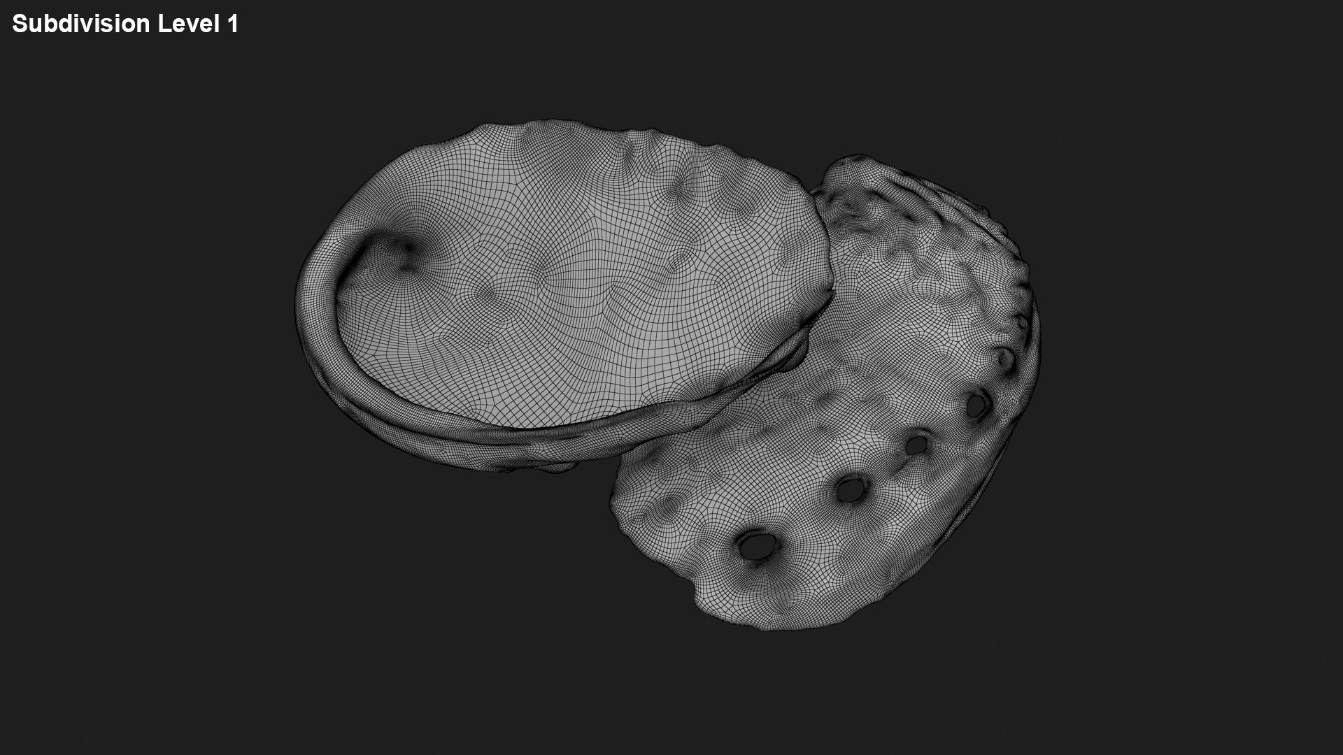 3D Abalone Shell 01 Pose2 Model - TurboSquid 2328381