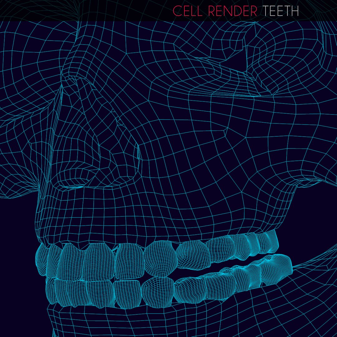 Human Skull 3d Model