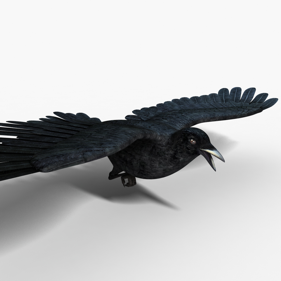 3ds Max Crow Rigged