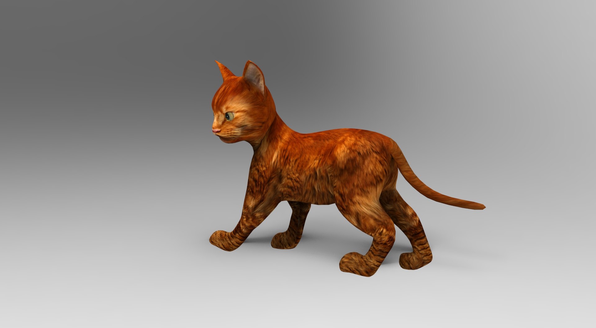 3D Cute Cat Rigged - TurboSquid 1160414