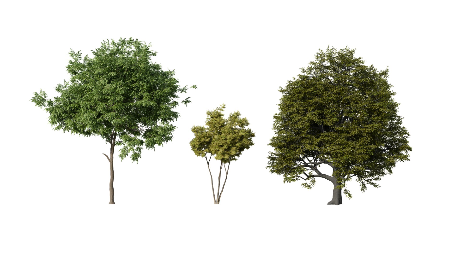 3D All In One Plant Pack Tree - TurboSquid 2152171