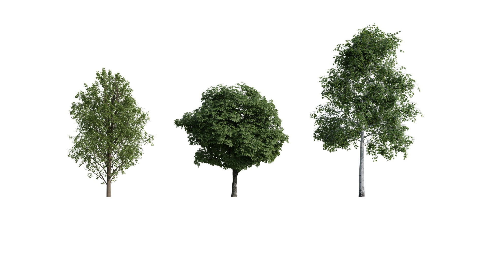 3D All In One Plant Pack Tree - TurboSquid 2152171