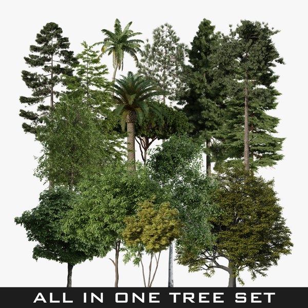 modelo 3d Árbol de paquete de plantas todo en uno - TurboSquid 2152171