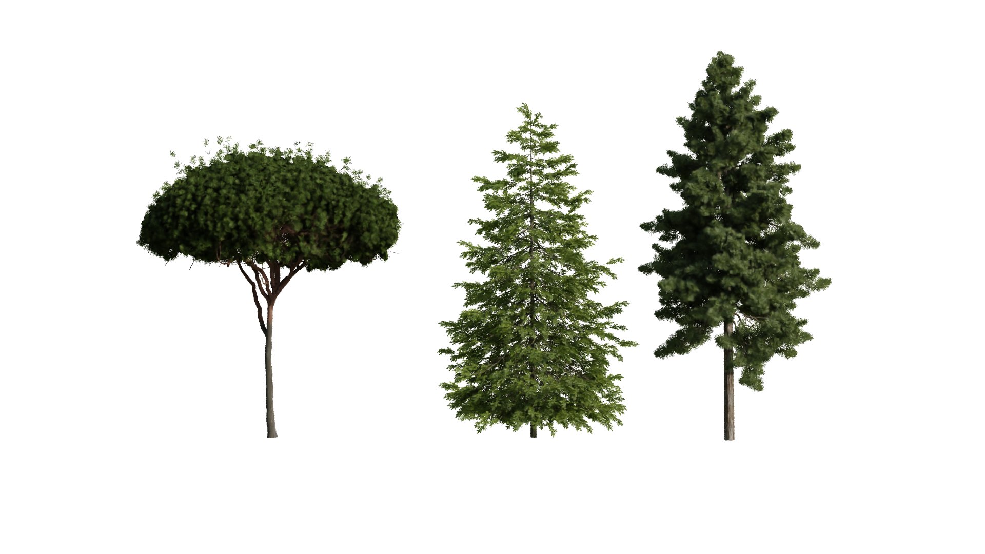 3D All In One Plant Pack Tree - TurboSquid 2152171