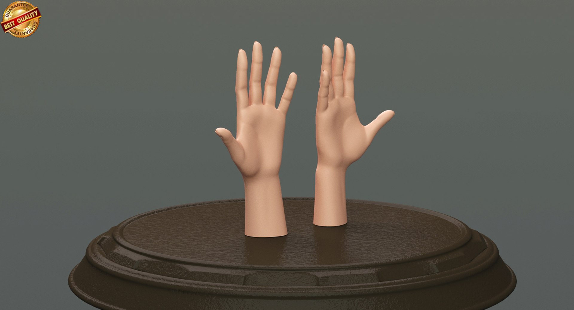 3d Model Modeled Body Female Hand Anatomy