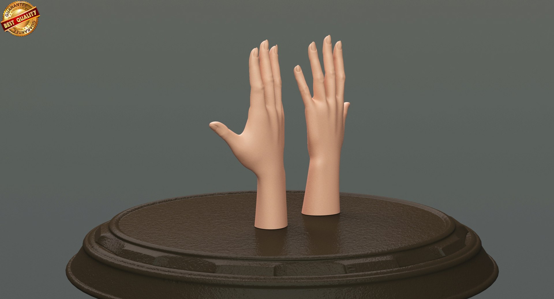 3d Model Modeled Body Female Hand Anatomy