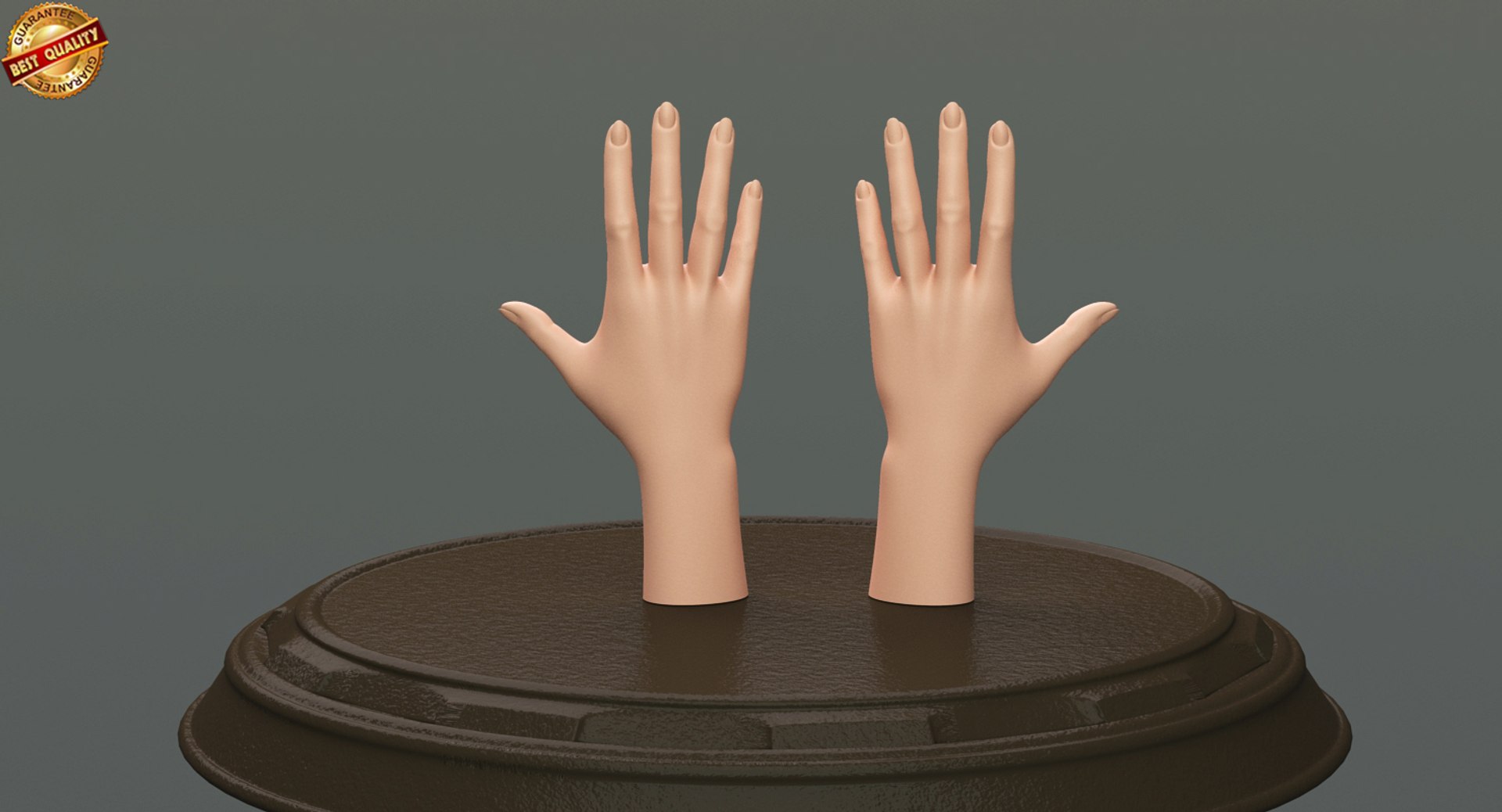 3d Model Modeled Body Female Hand Anatomy