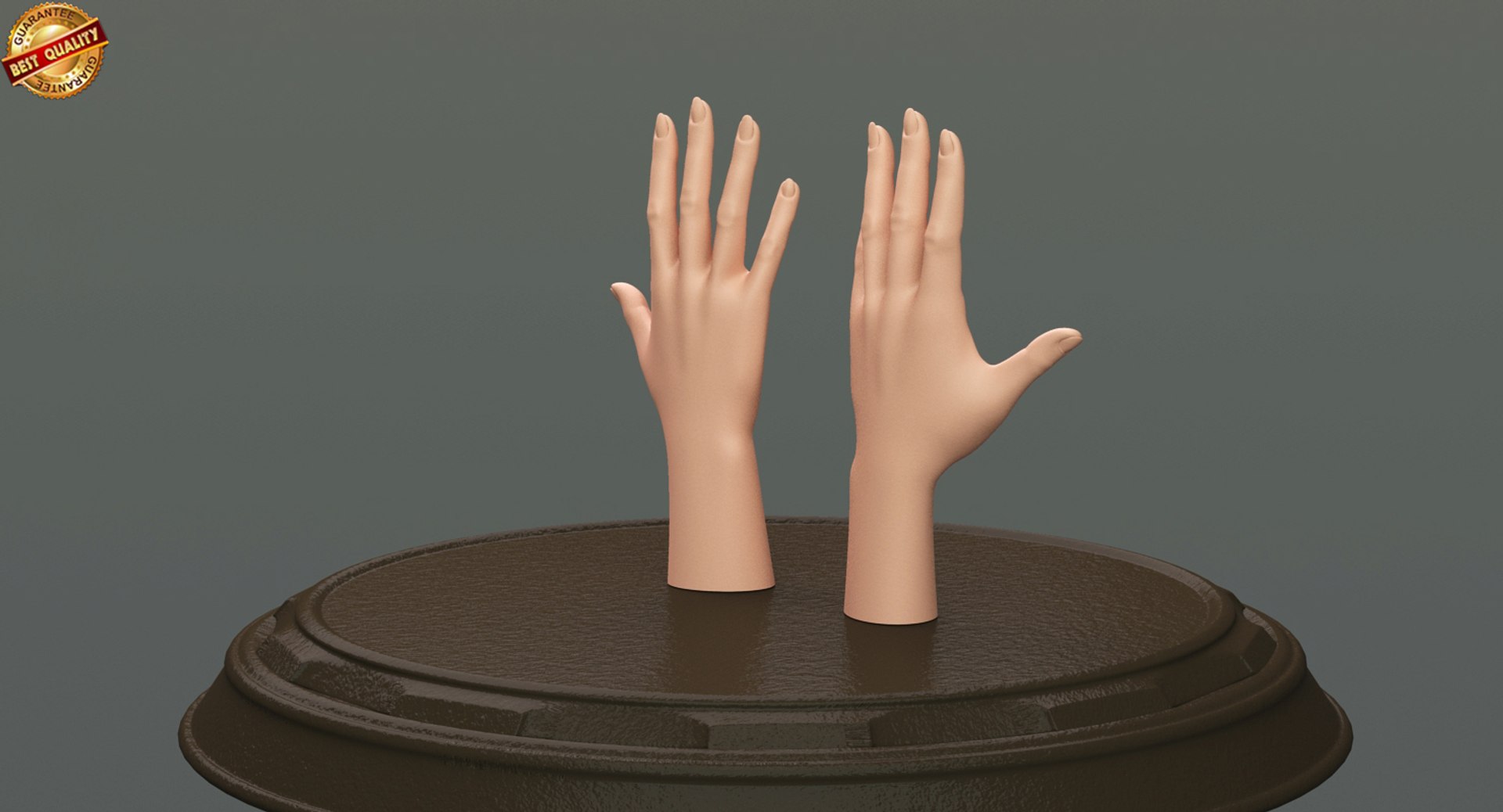 3d Model Modeled Body Female Hand Anatomy