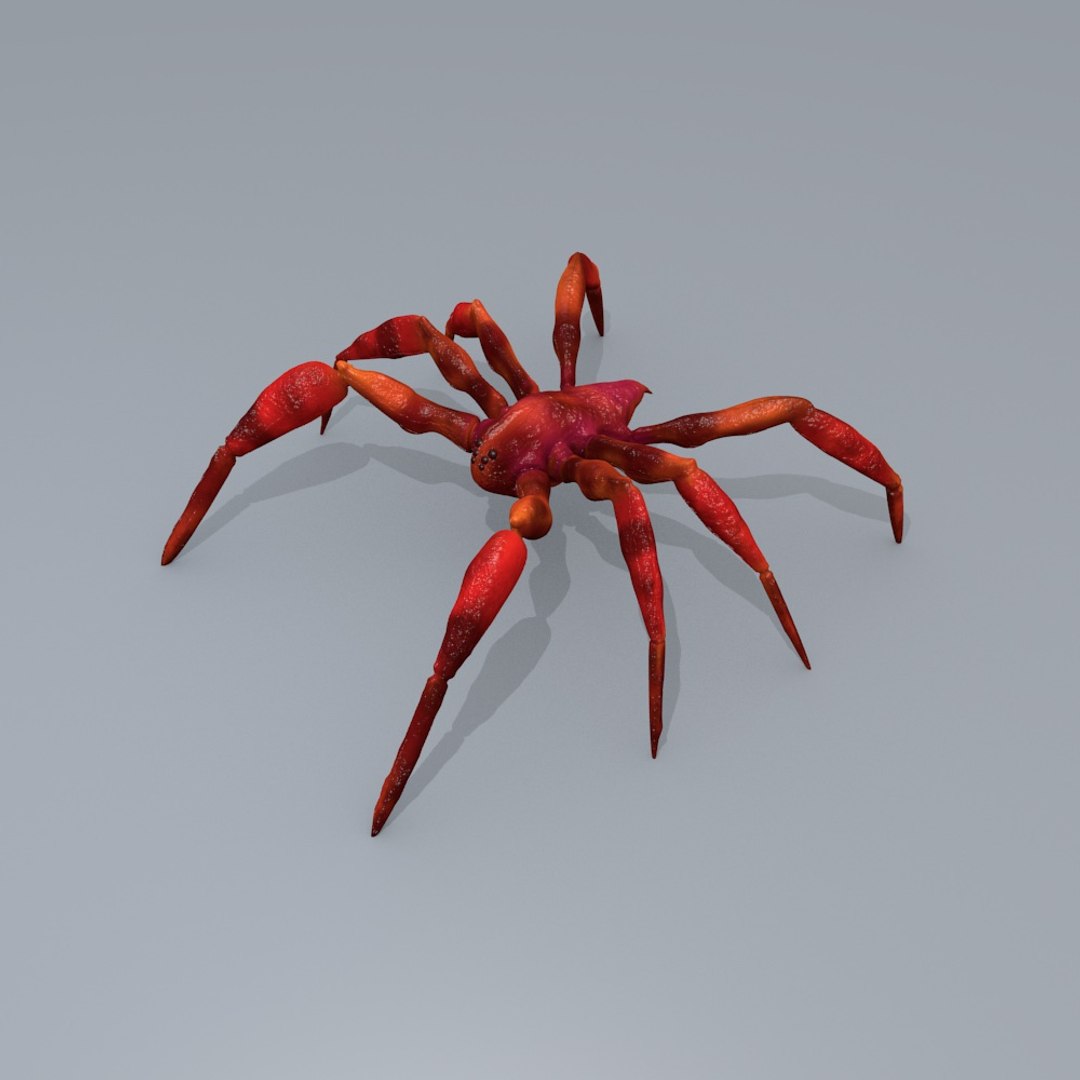 3d model red spider