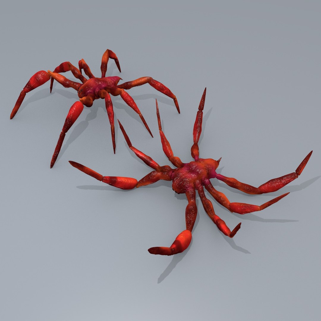 3d model red spider