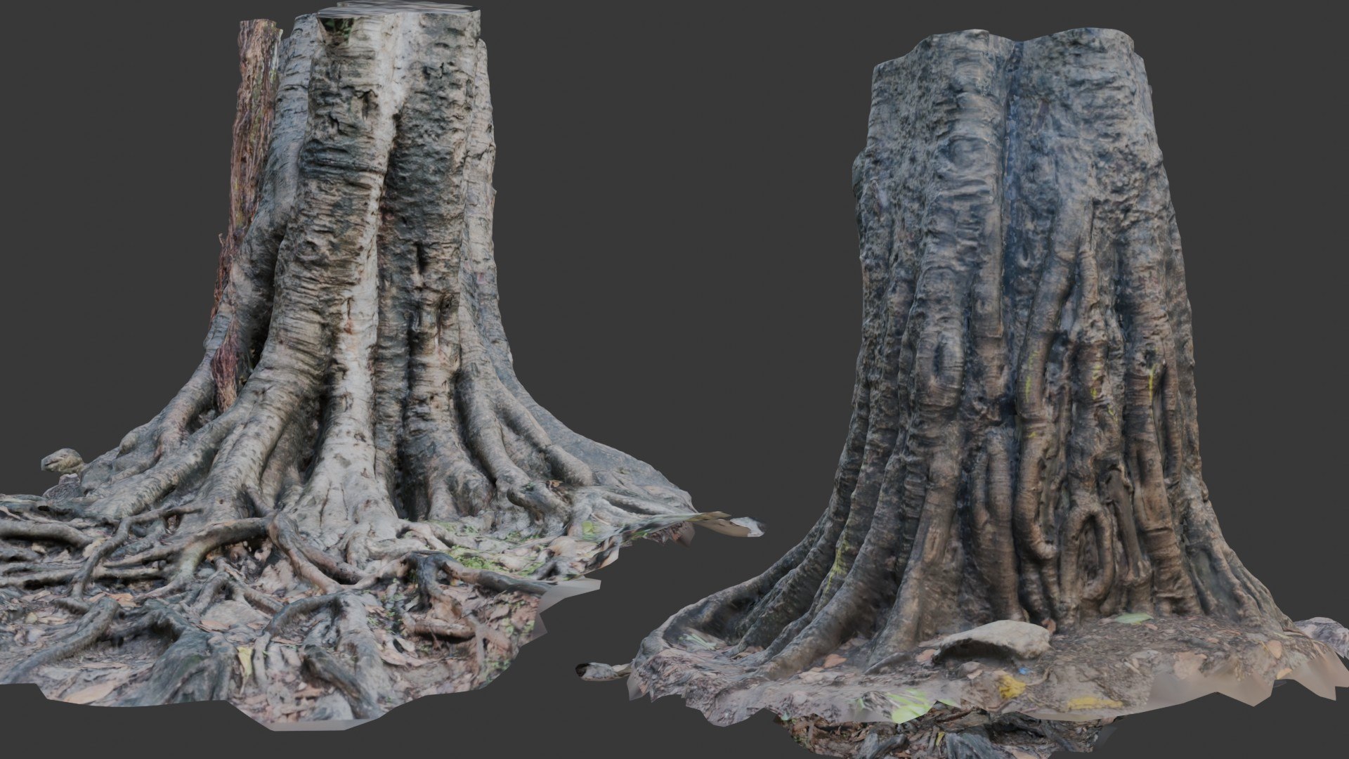 3D Ancient Tree Stump With Roots Scan - TurboSquid 2395262