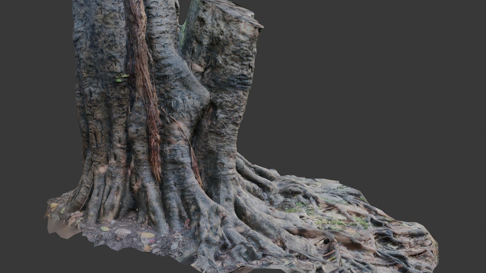 3D Ancient Tree Stump With Roots Scan - TurboSquid 2395262