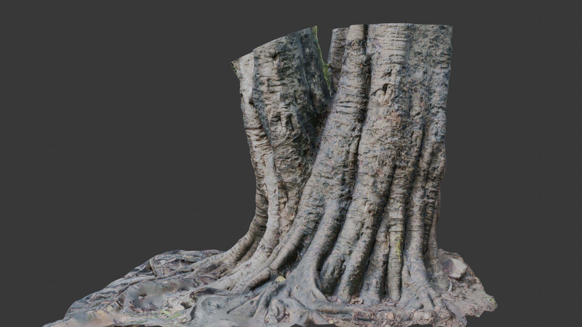 3D Ancient Tree Stump With Roots Scan - TurboSquid 2395262