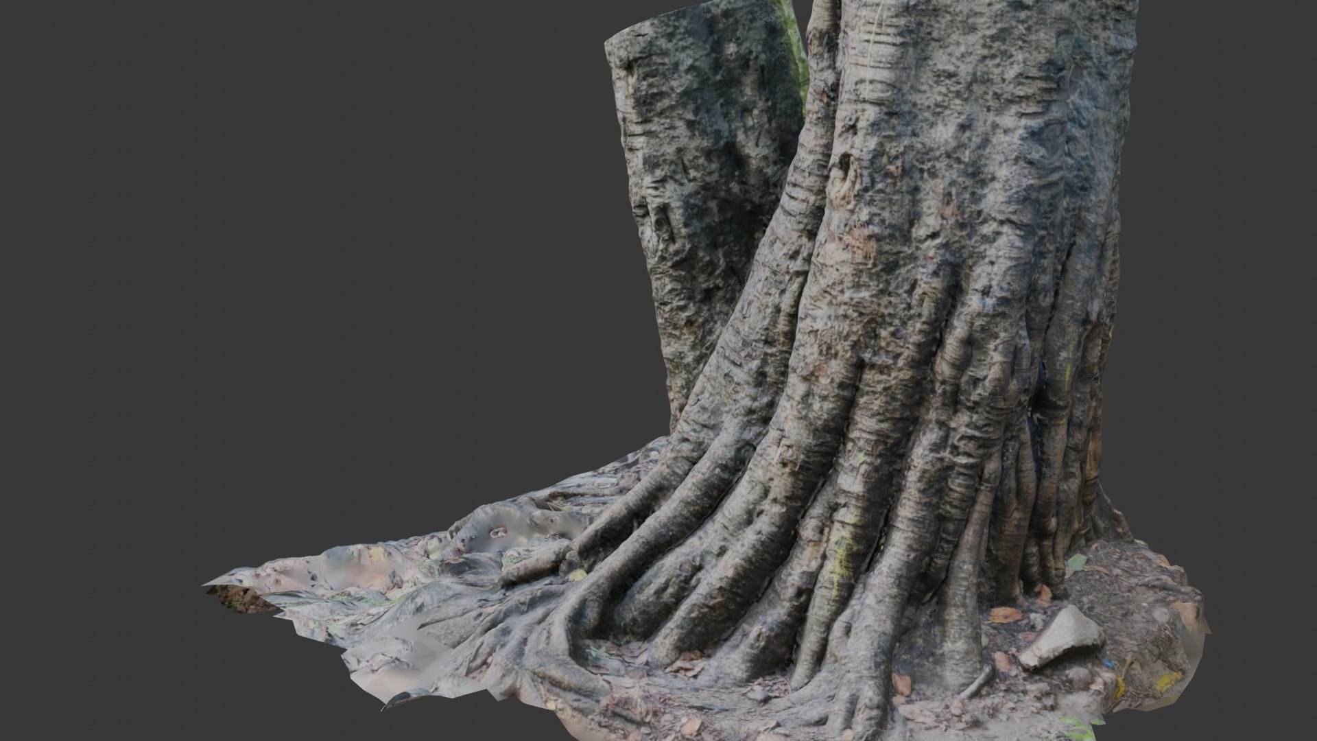 3D Ancient Tree Stump With Roots Scan - TurboSquid 2395262