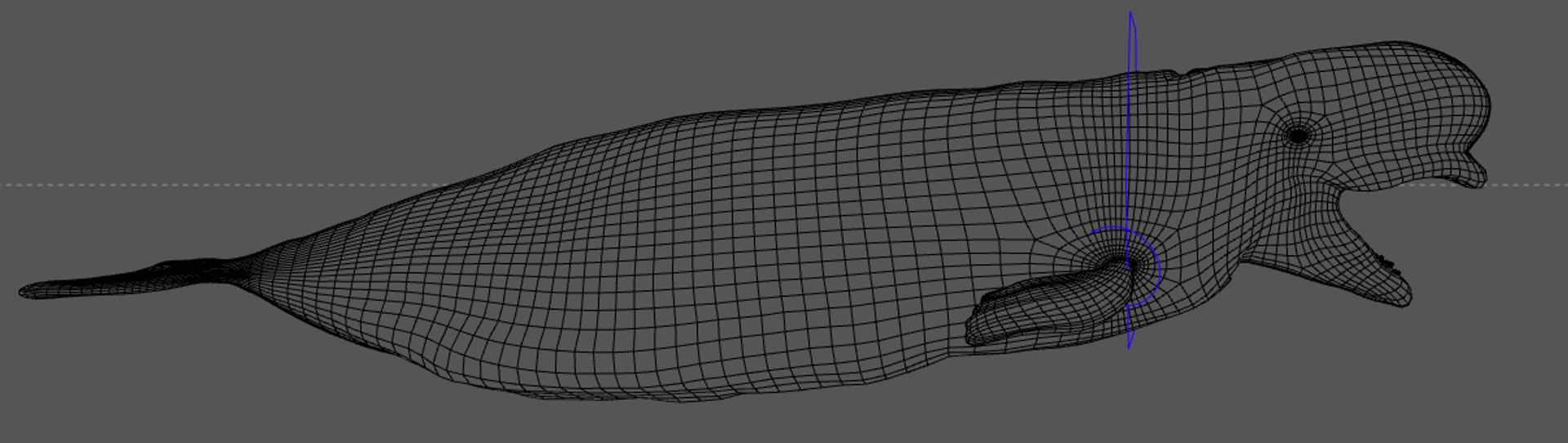 3D Beluga Whale - PBR - Rigged Model - TurboSquid 2214849