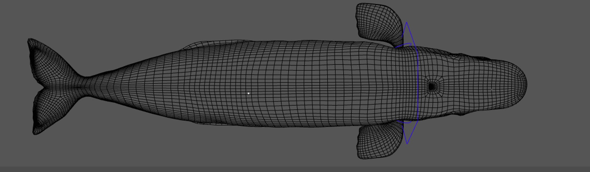 3D Beluga Whale - PBR - Rigged Model - TurboSquid 2214849