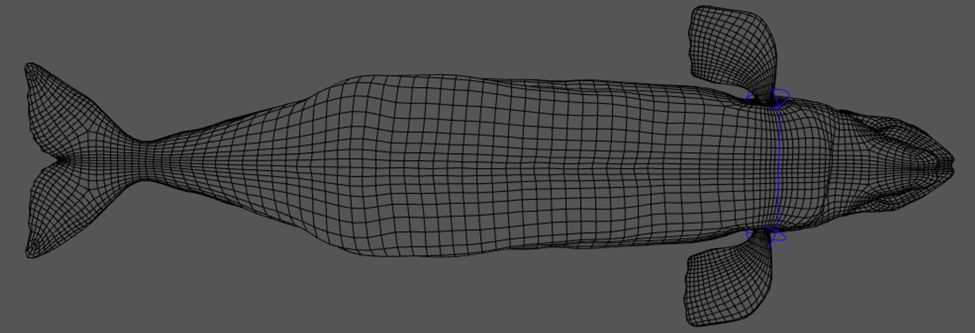 3D Beluga Whale - PBR - Rigged Model - TurboSquid 2214849