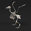 3d Model Pigeon Skeleton