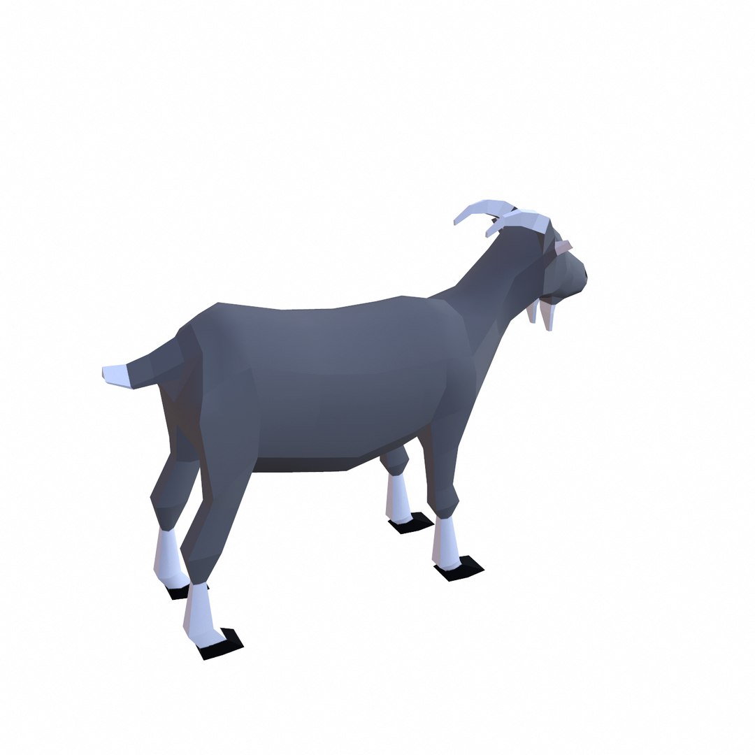 Marmoset 3D Model - TurboSquid 1553933