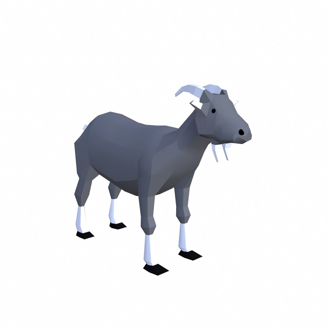 Marmoset 3D Model - TurboSquid 1553933