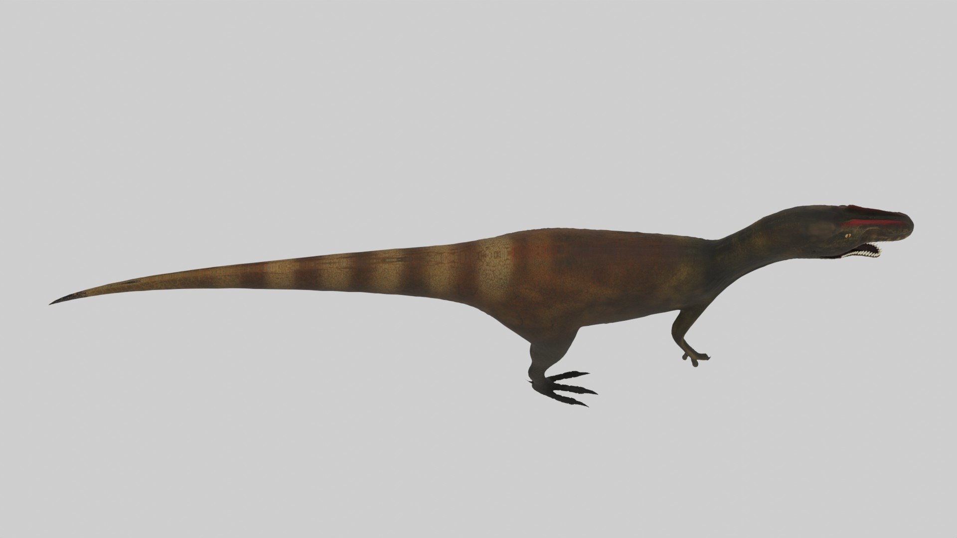 3D Allosaurus Fbx Glb Stl - TurboSquid 2122062