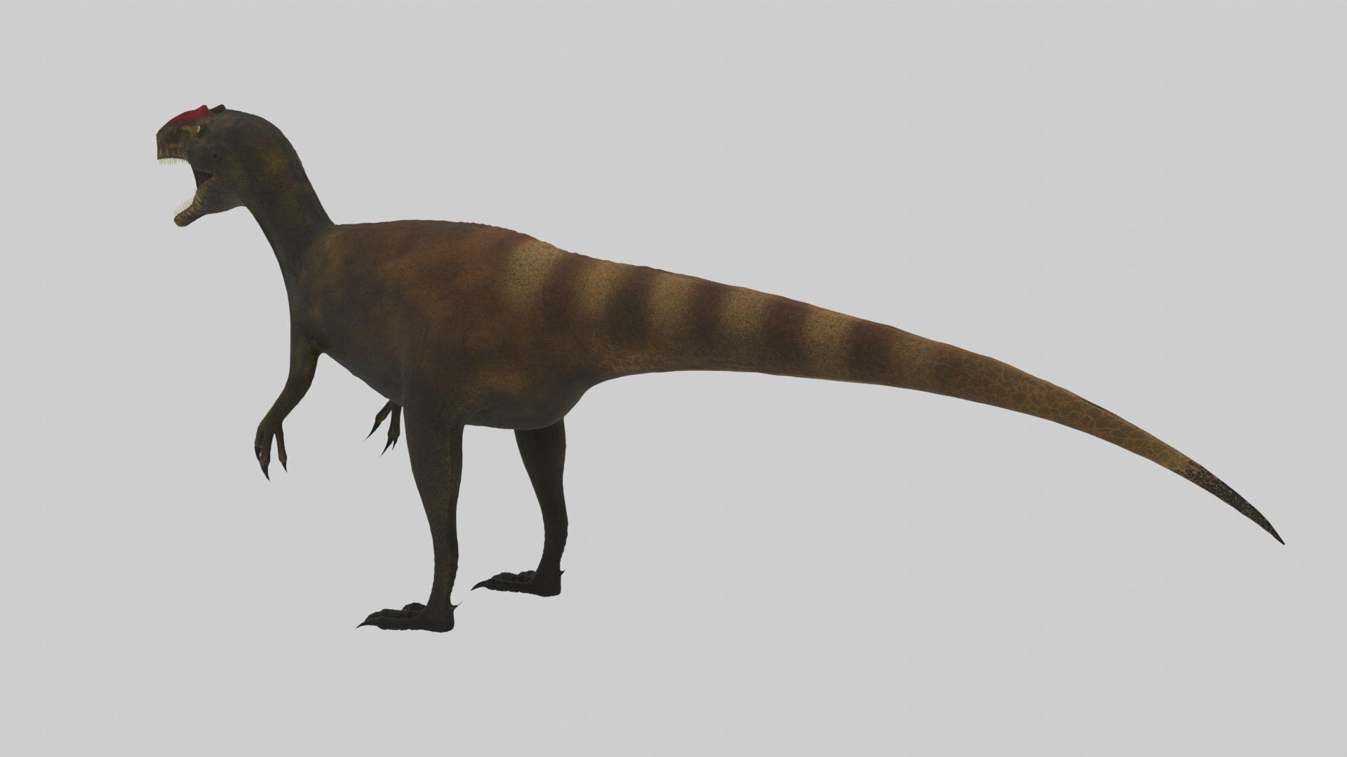 3D Allosaurus Fbx Glb Stl - TurboSquid 2122062