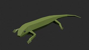 Lizard Lowpoly 3D Models for Download | TurboSquid