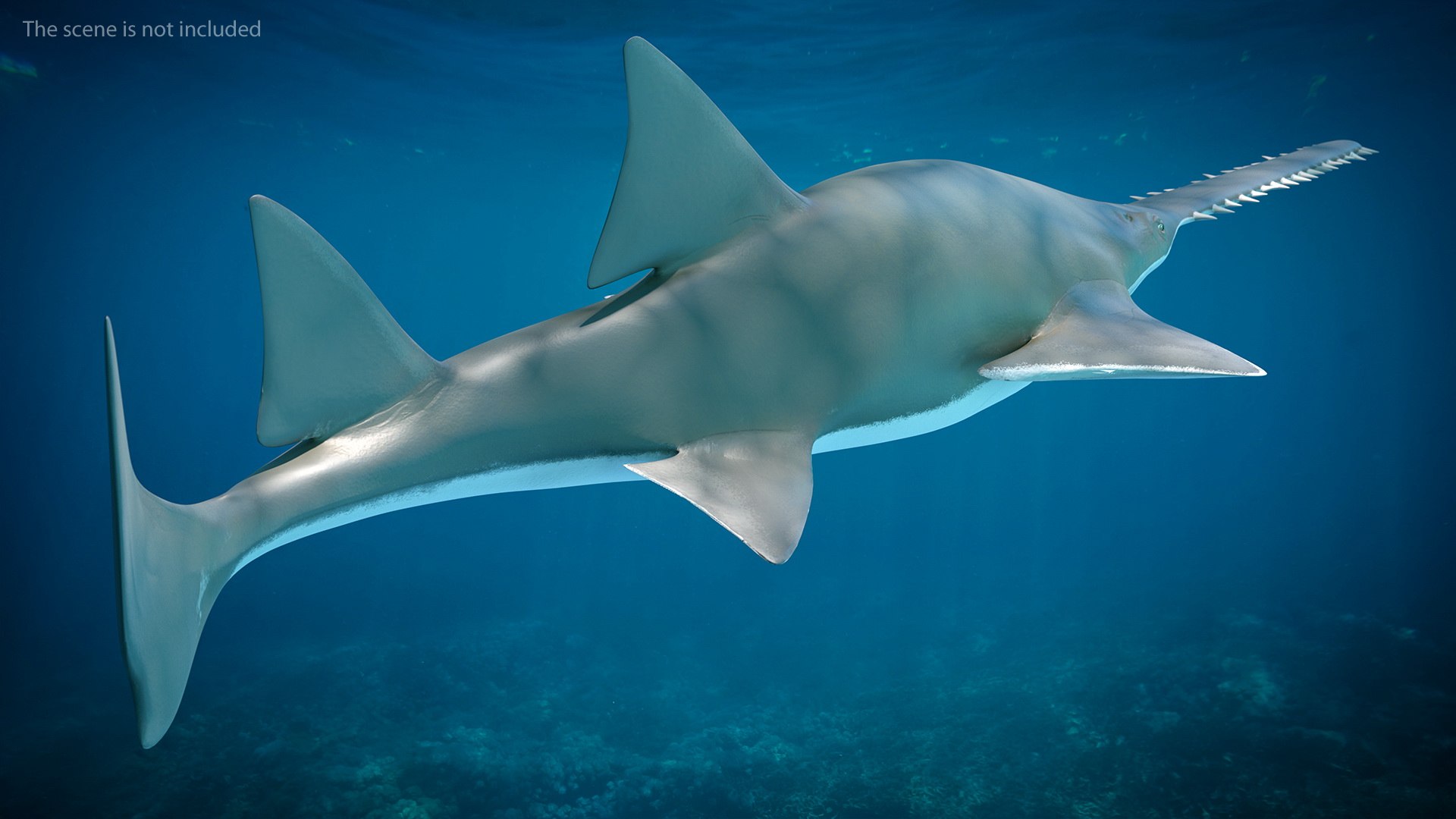 3D sawfish rigged fish - TurboSquid 1580989