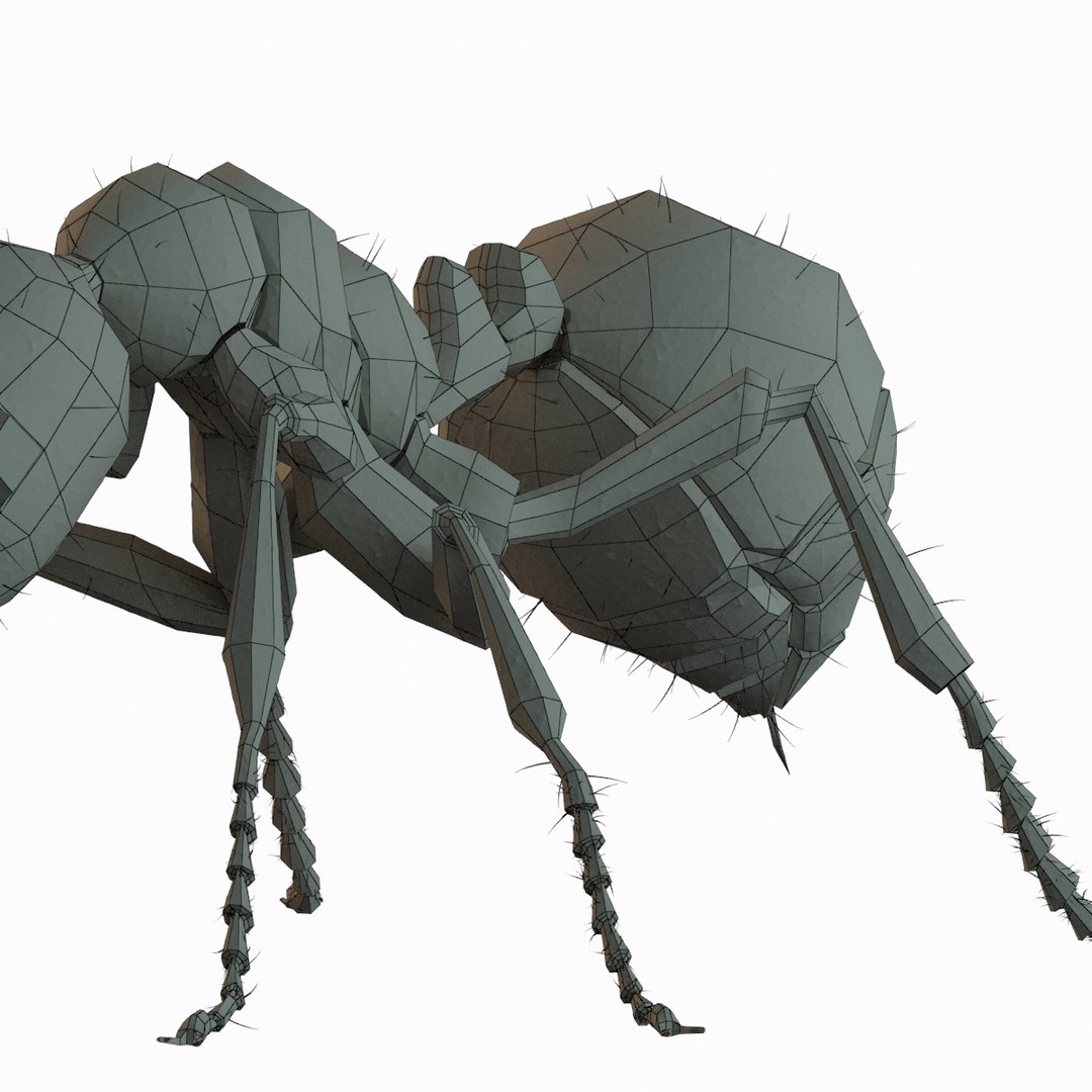 Ant Rig 3d Max