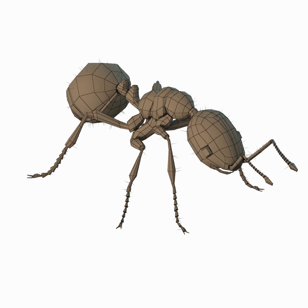 Ant Rig 3d Max