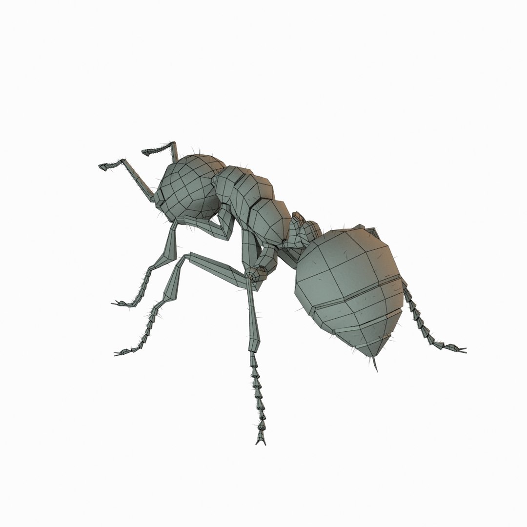 Ant Rig 3d Max