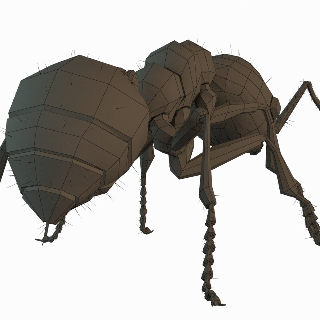 Ant Rig 3d Max