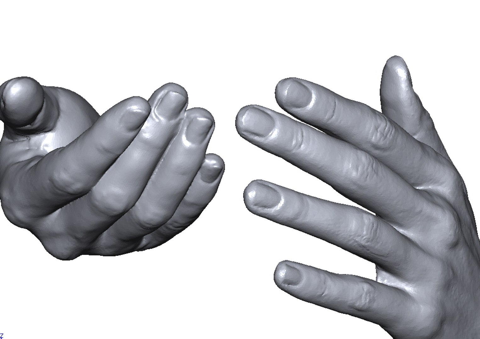 Scan Hands Model - TurboSquid 1349075