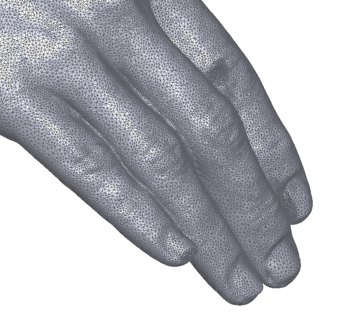 Scan Hands Model - TurboSquid 1349075