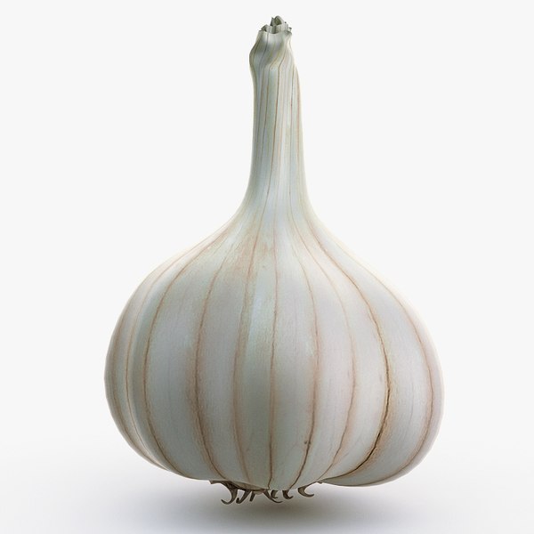 3d model garlic use